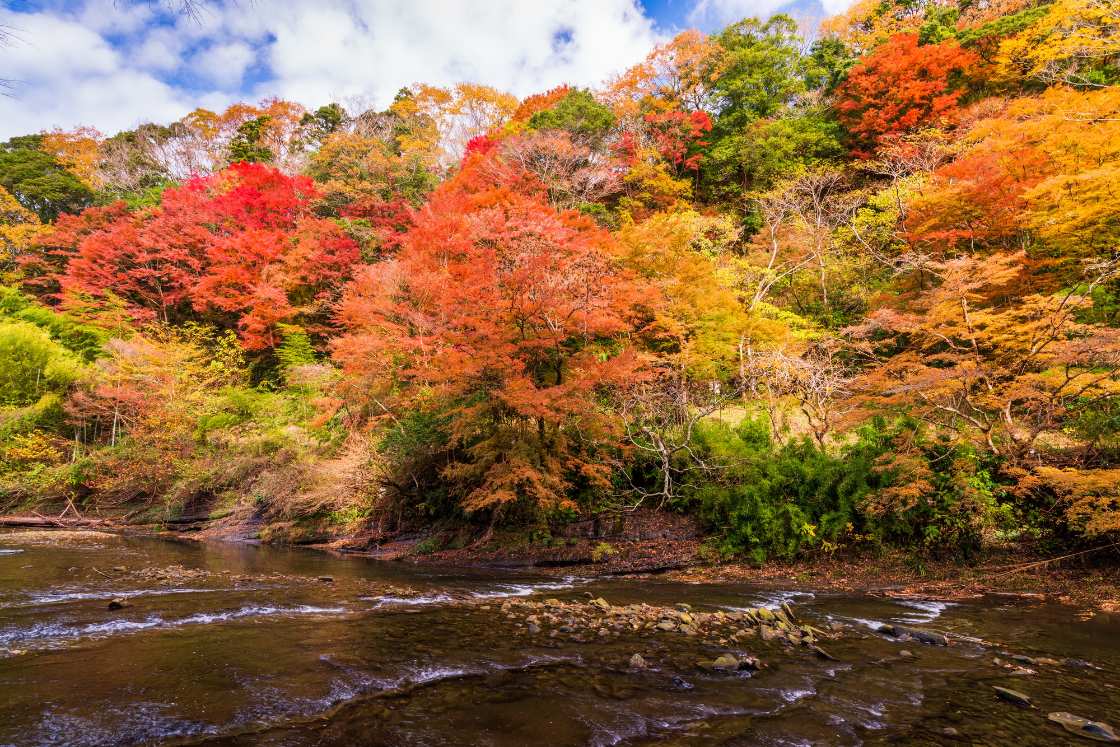EVENT｜社会貢献活動・SDGs促進に貢献するアクトコイン